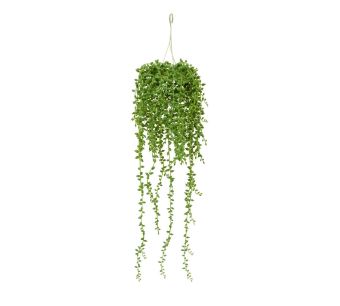 Artificial Columnea trailing plant 65 cm | Maxifleur